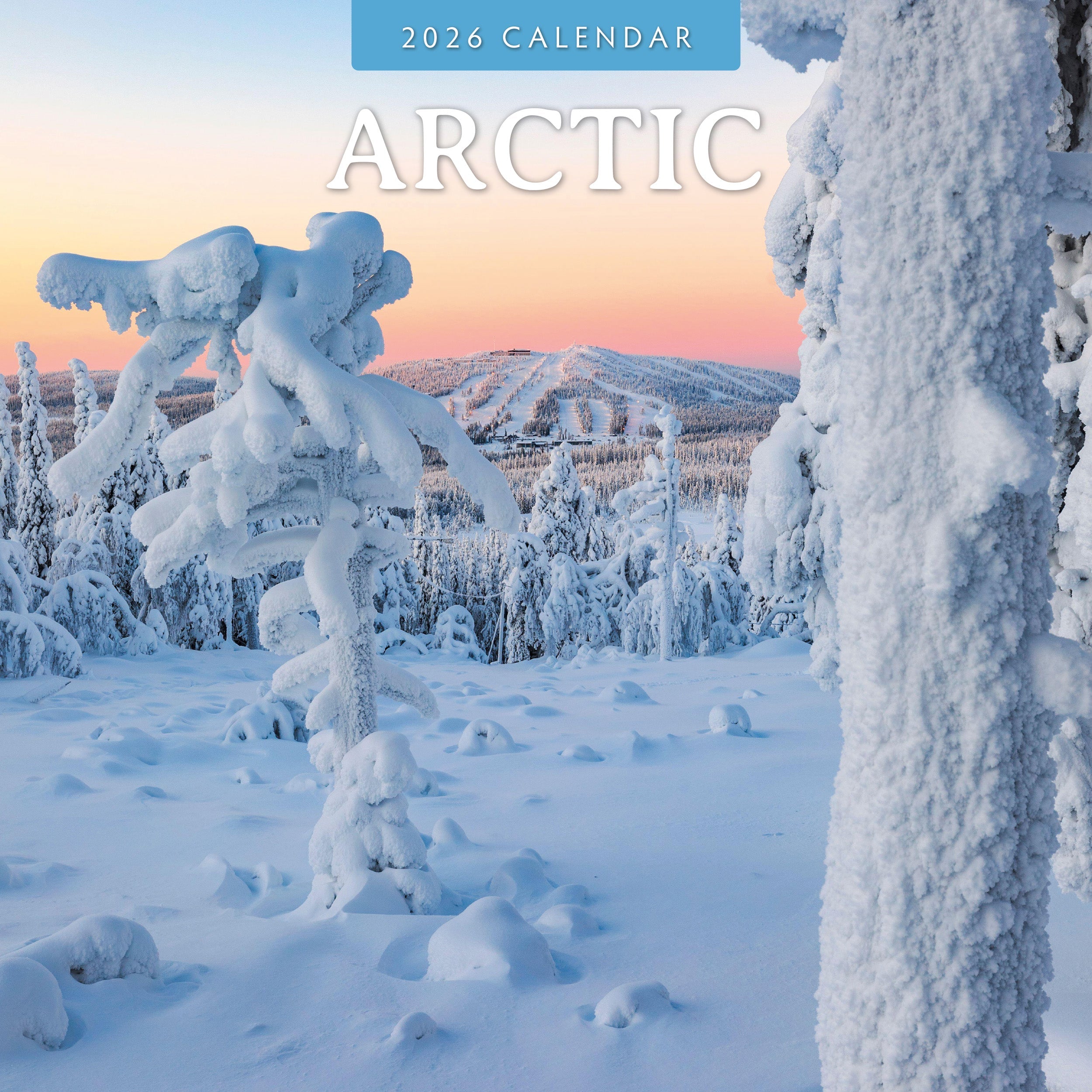 2026 Arctic - Square Wall Calendar