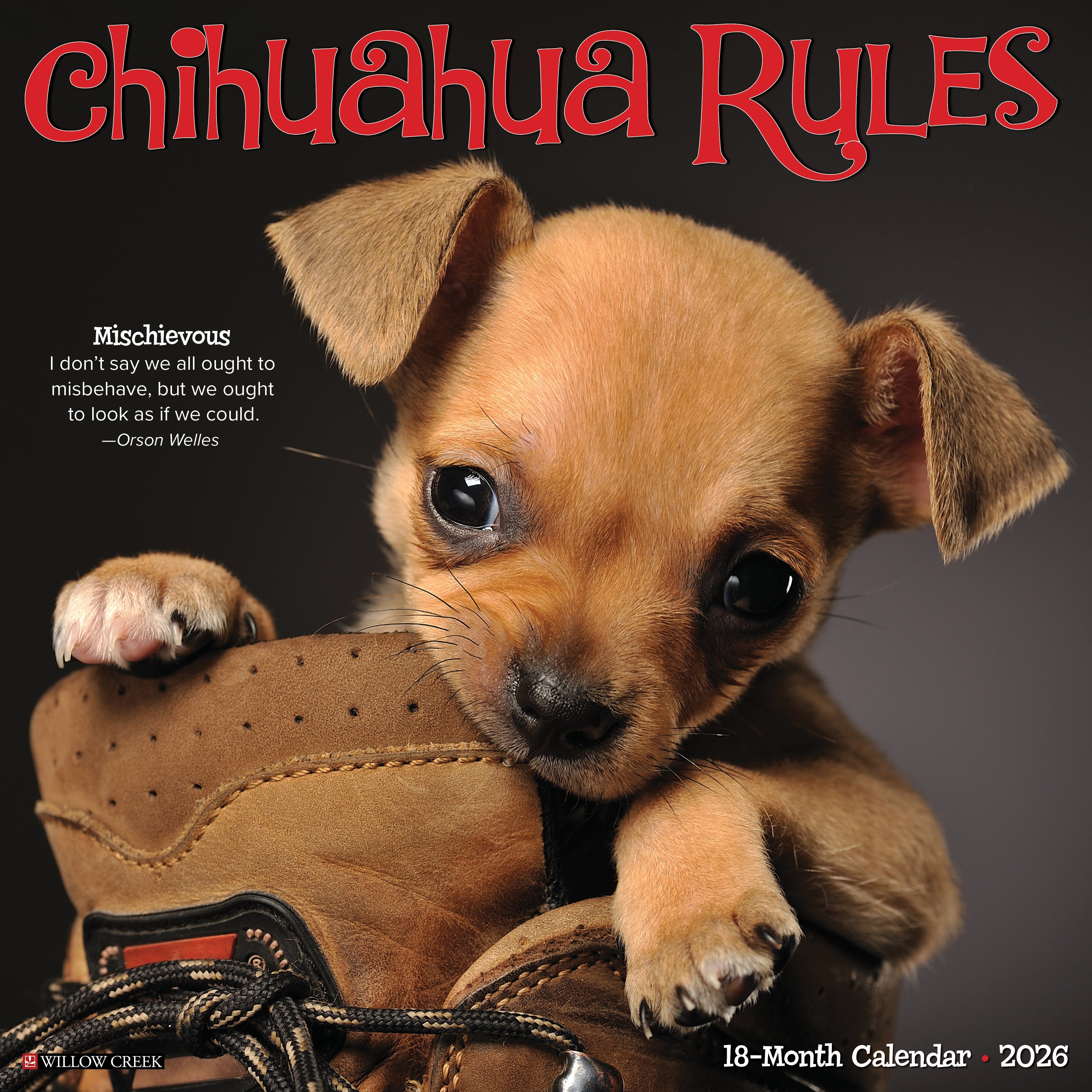 2026 Chihuahua Rules - Square Wall