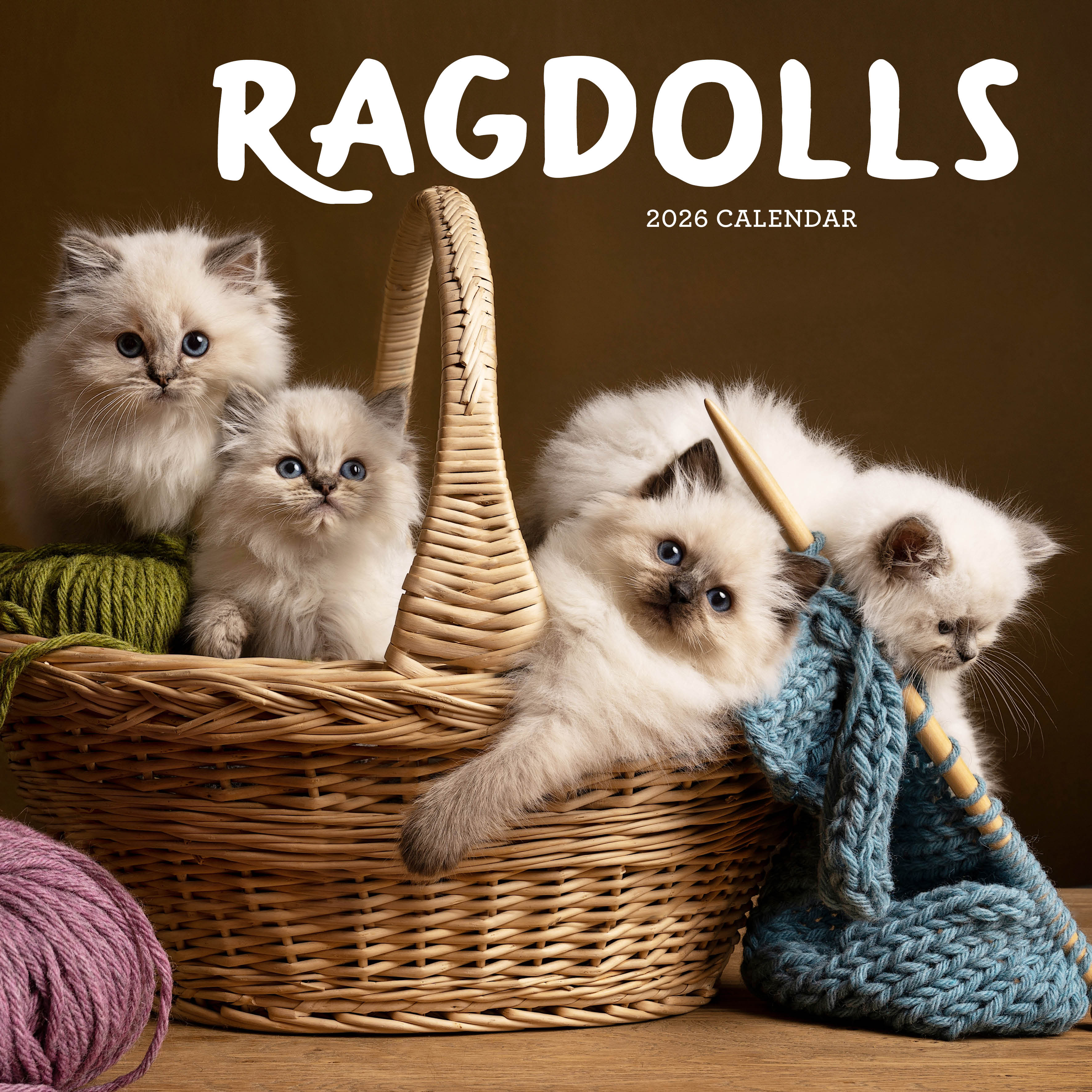 2026 Ragdolls - Square Wall Calendar
