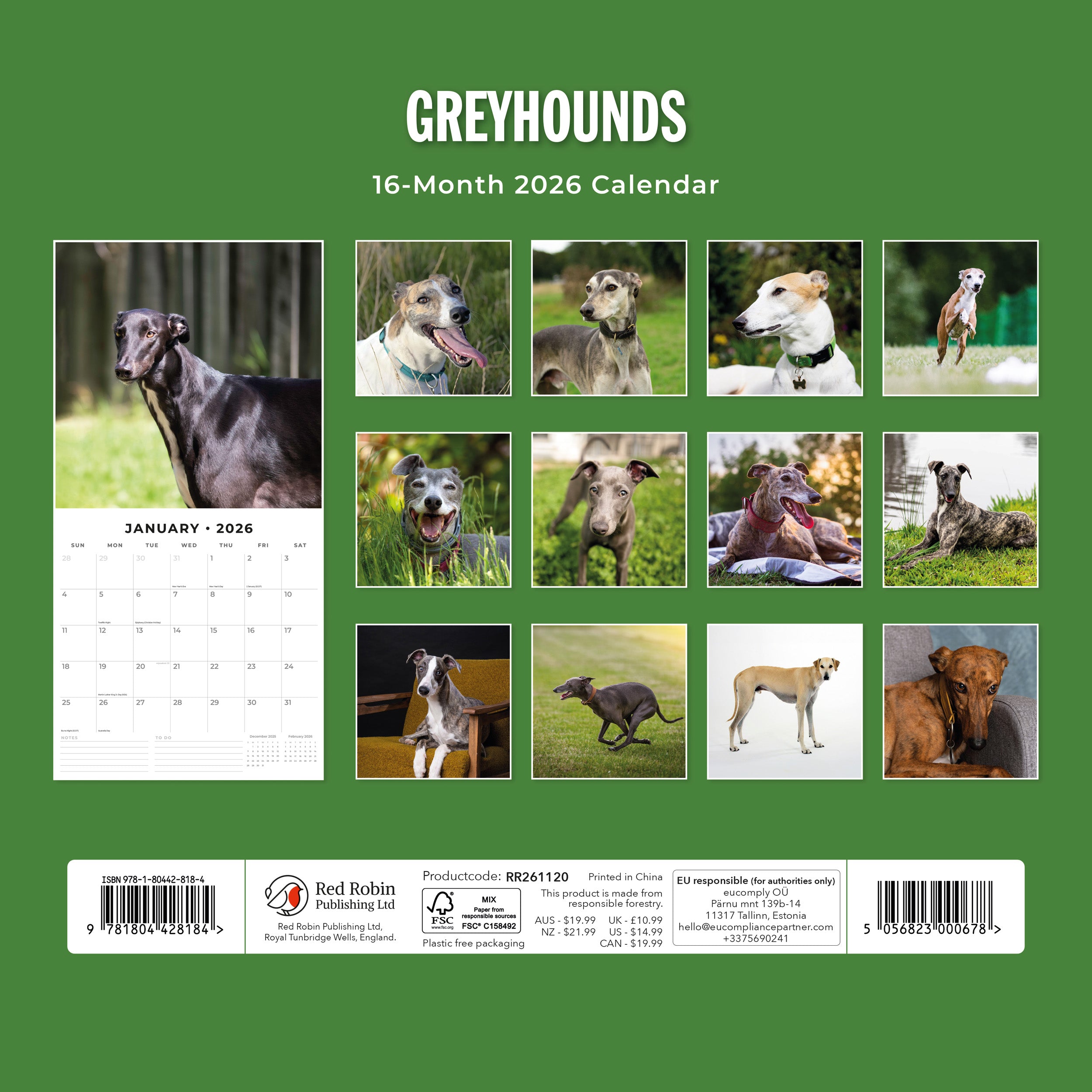 2026 Greyhounds - Square Wall Calendar
