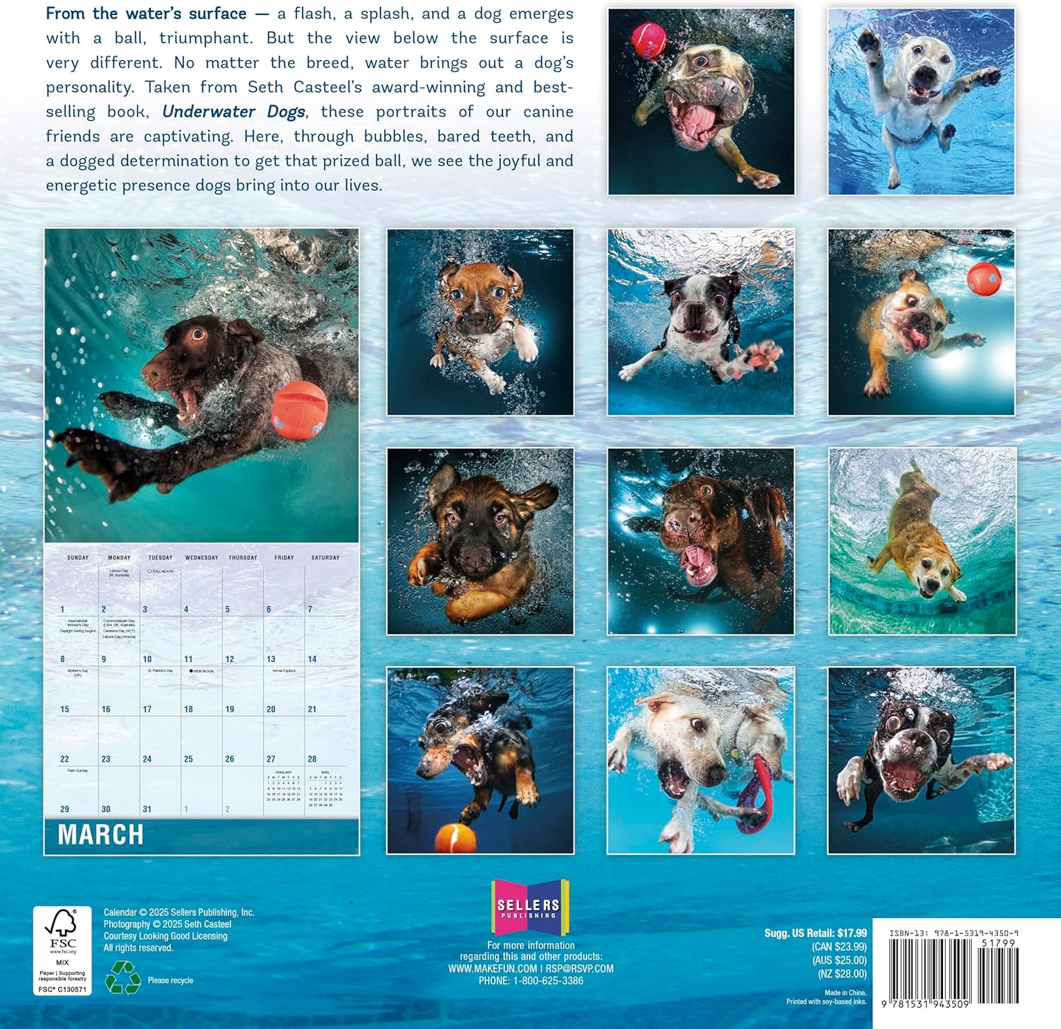 2026 Underwater Dogs - Square Wall Calendar
