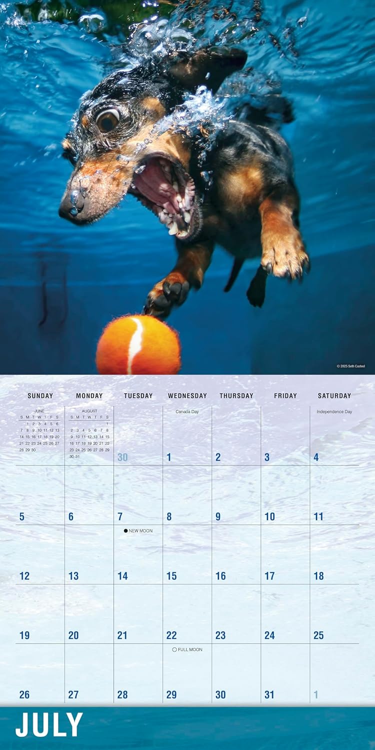 2026 Underwater Dogs - Square Wall Calendar