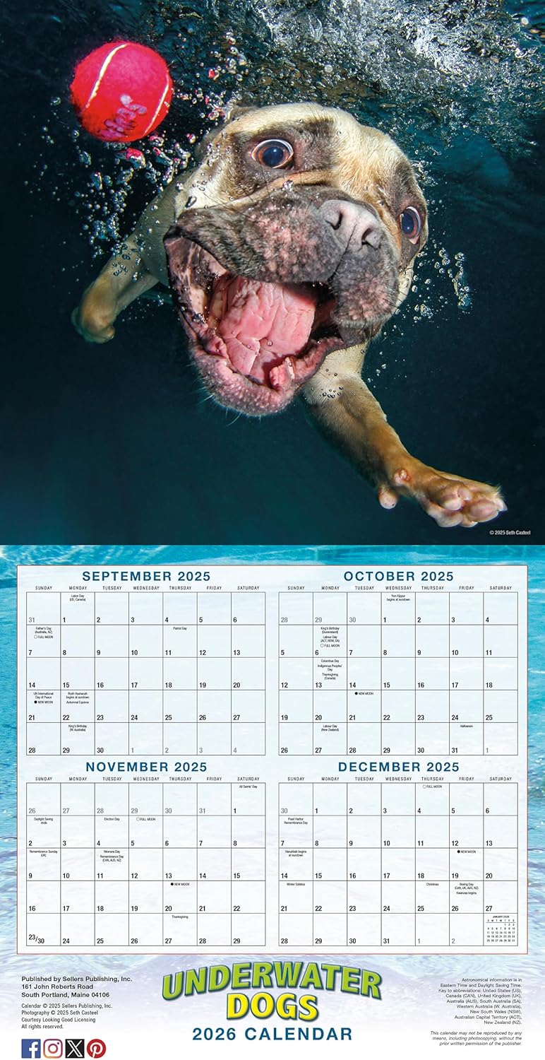 2026 Underwater Dogs - Square Wall Calendar
