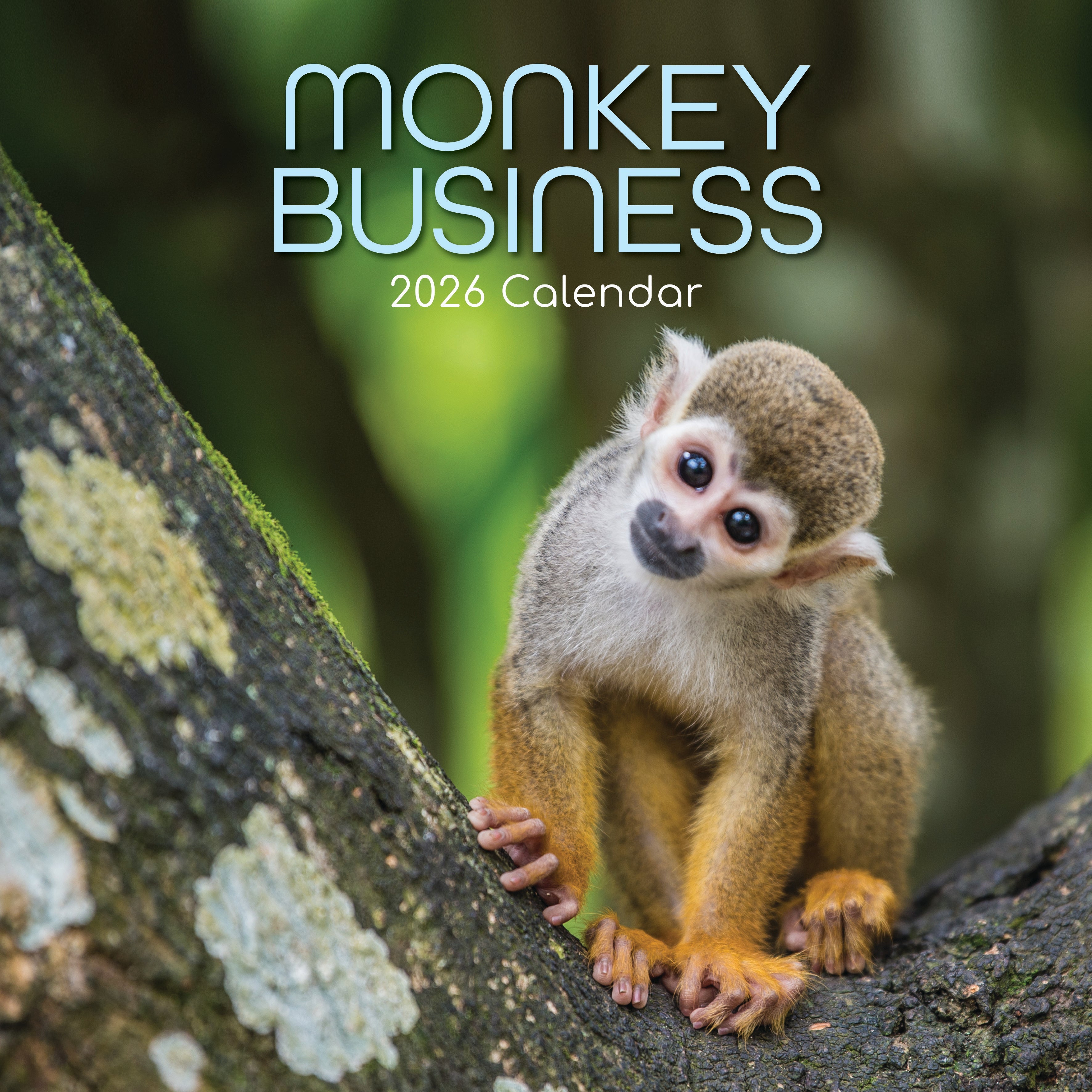 2026 Monkey Business - Square Wall Calendar