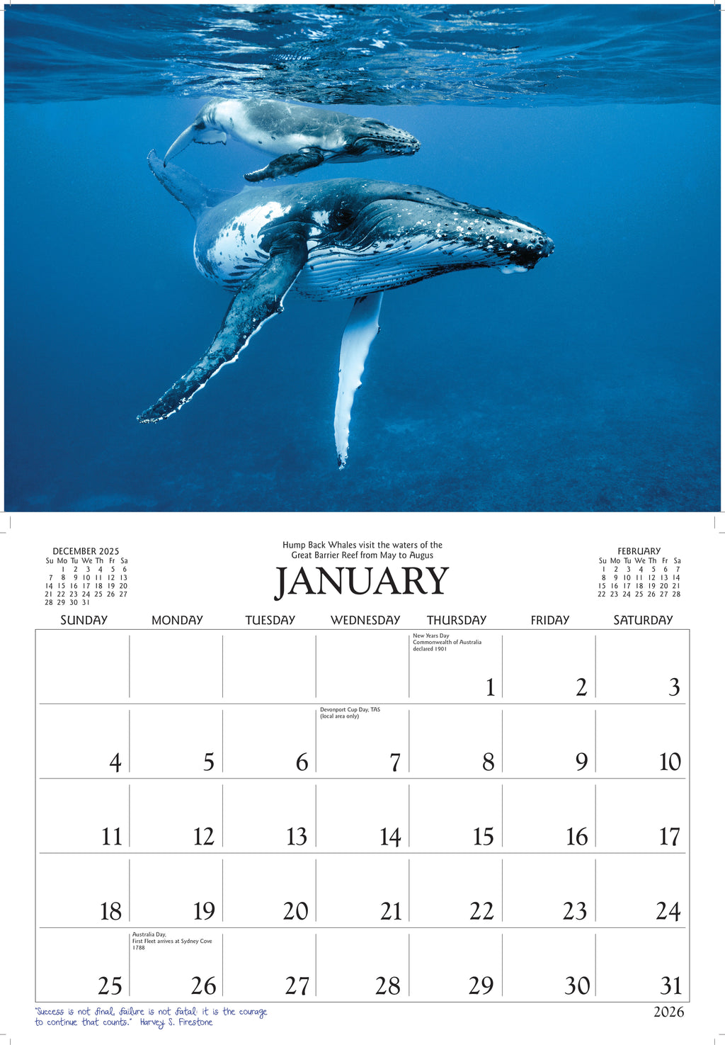2026 Great Barrier Reef By David Messent - Horizontal Wall Calendar
