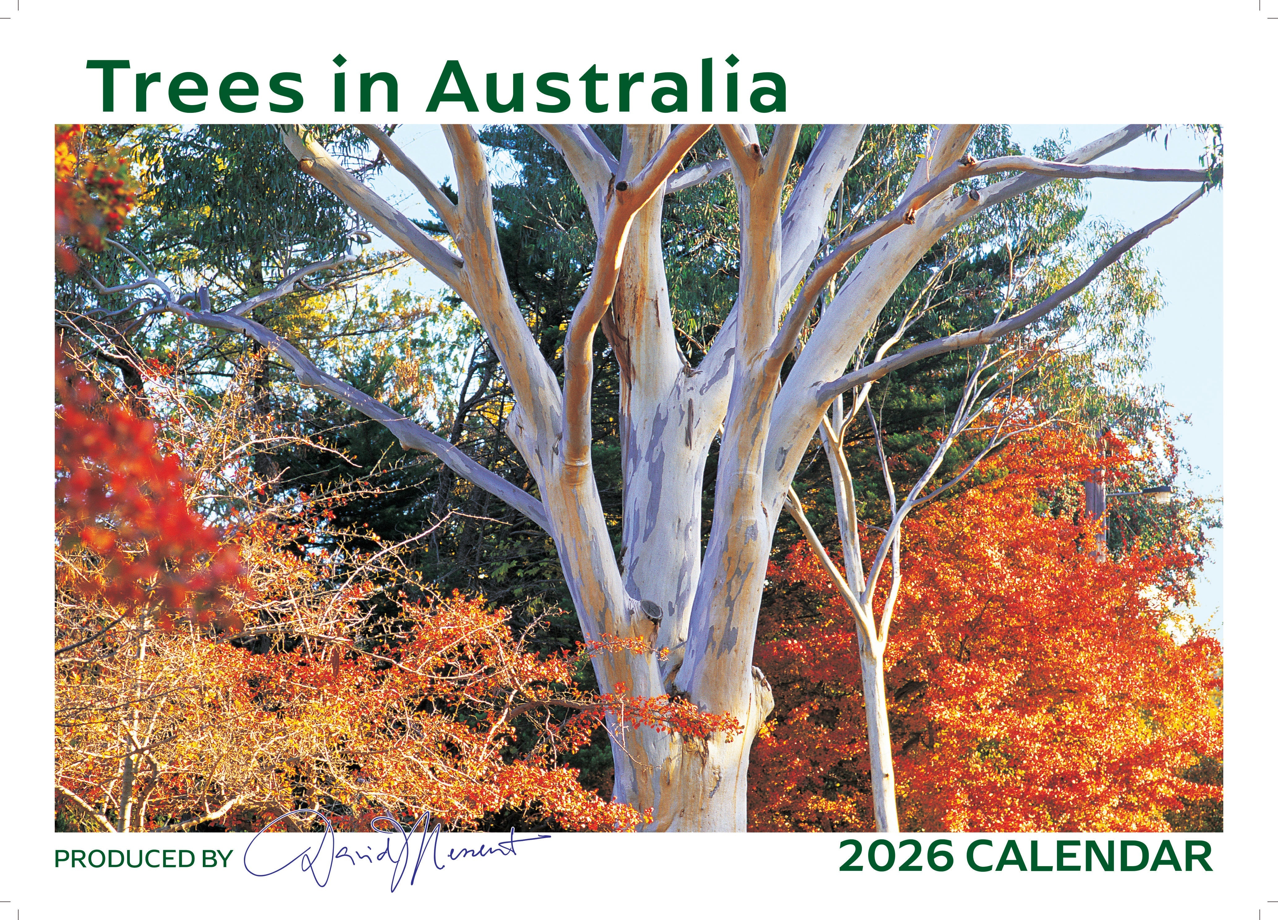 2026 Trees in Australia By David Messent - Horizontal Wall Calendar